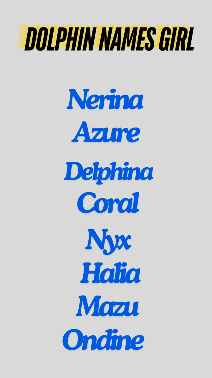 494 Dolphin Names: A to Z With Meanings - Versatile Name List