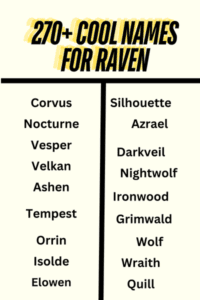 270+ Cool Names For Raven - Versatile Name List